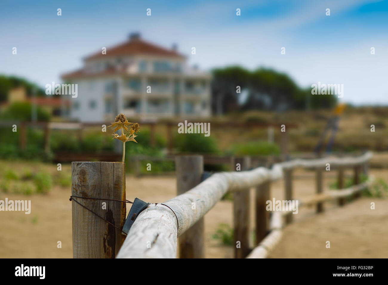 Dim background hi-res stock photography and images - Alamy