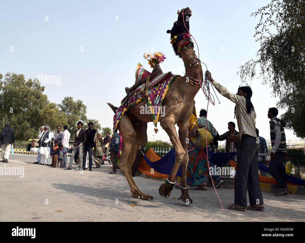 Bikaner, India. 17th Feb, 2016. An artist performs with his camel ...