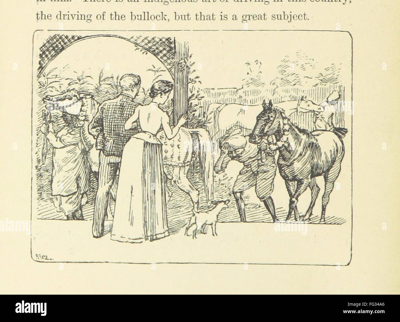 A humorous and insightful look into life in India, written by Eha. This ...