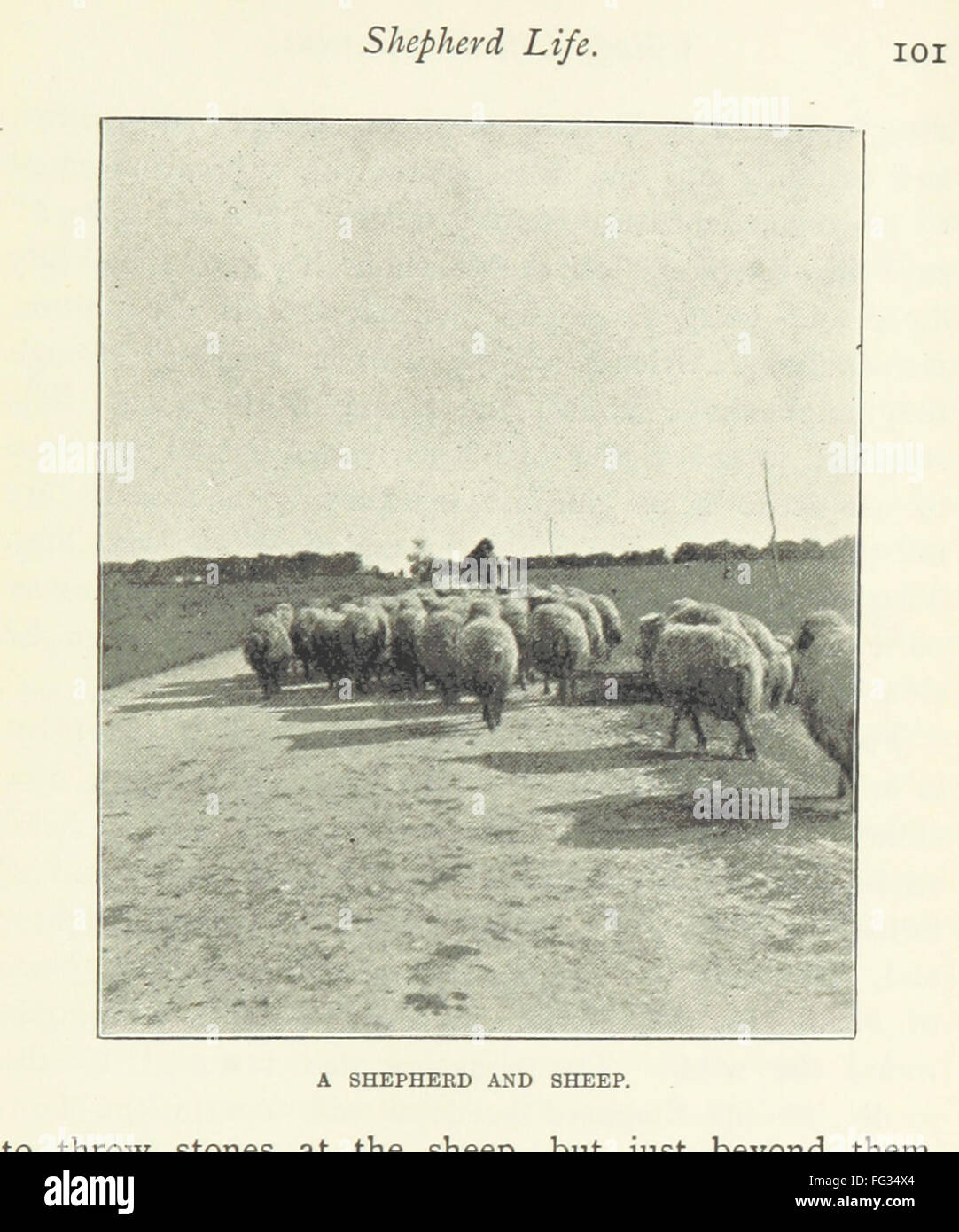 'Village Life in Palestine' provides a vivid depiction of rural life in ...