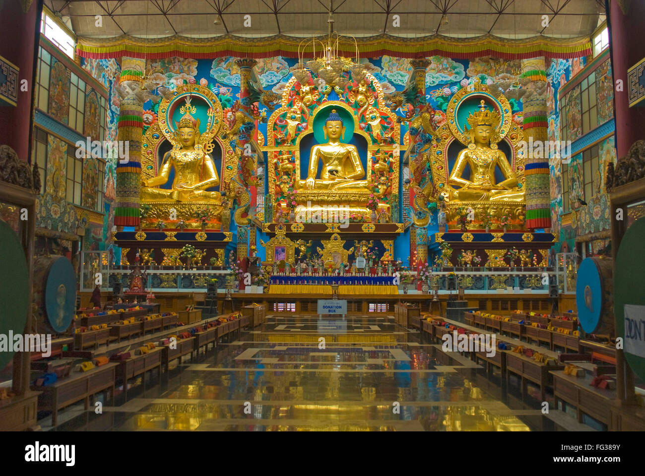 Golden Buddha statues in Namdroling monastery Palyul Nyingmapa Buddhist ...