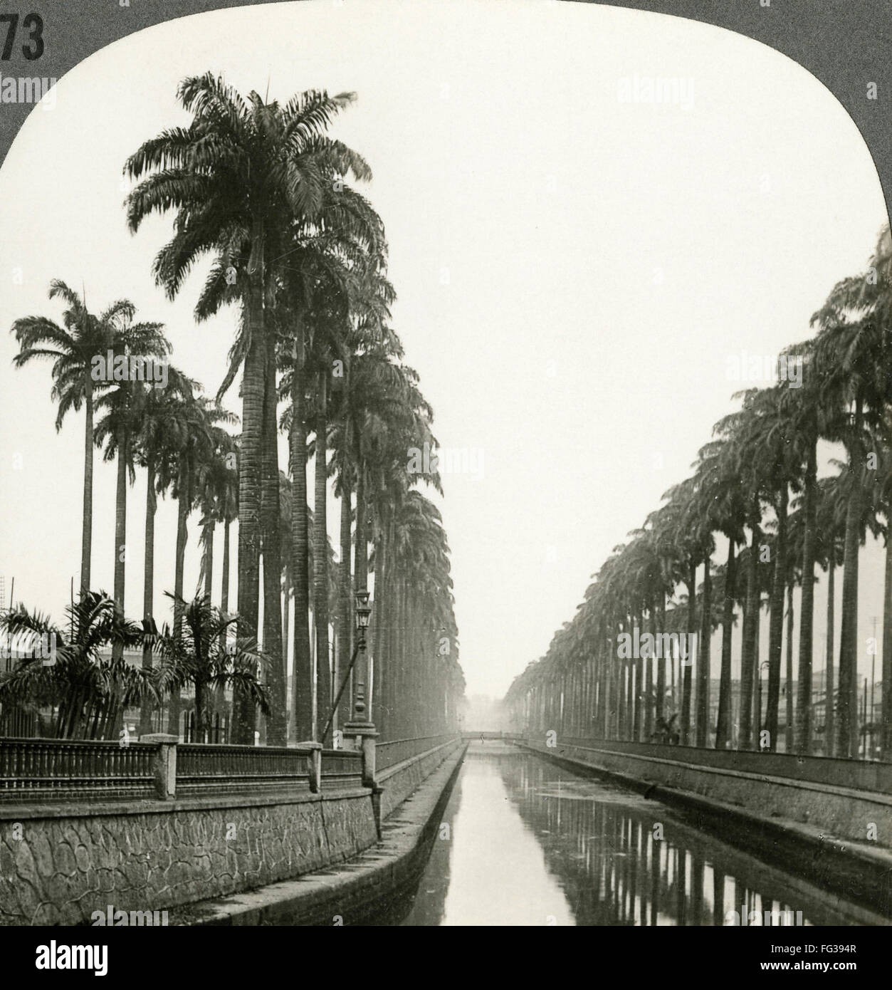 BRAZIL: RIO DE JANEIRO, c1910. /n'Palm-fringed Rua Viscounte de Itauna ...
