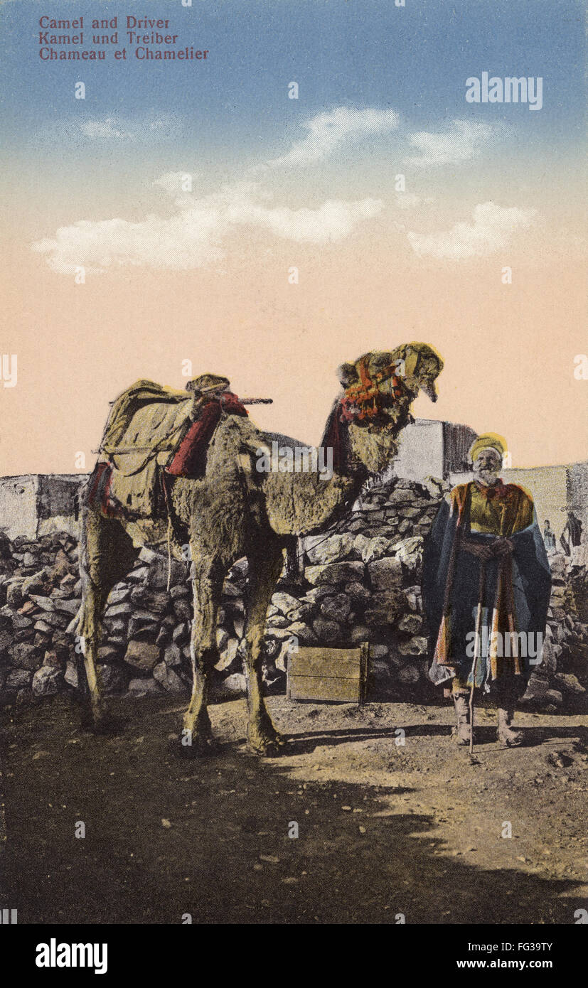 PALESTINE: MAN WITH CAMEL. /nA man with a camel in Palestine. Postcard ...