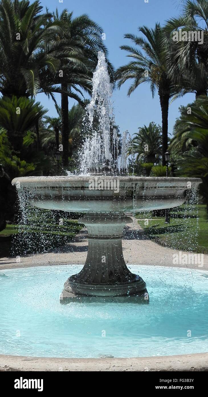 Fountain of palm trees hi-res stock photography and images - Alamy