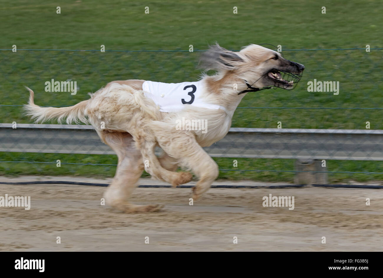 Europaeischer europaeisches german germany action hi-res stock ...