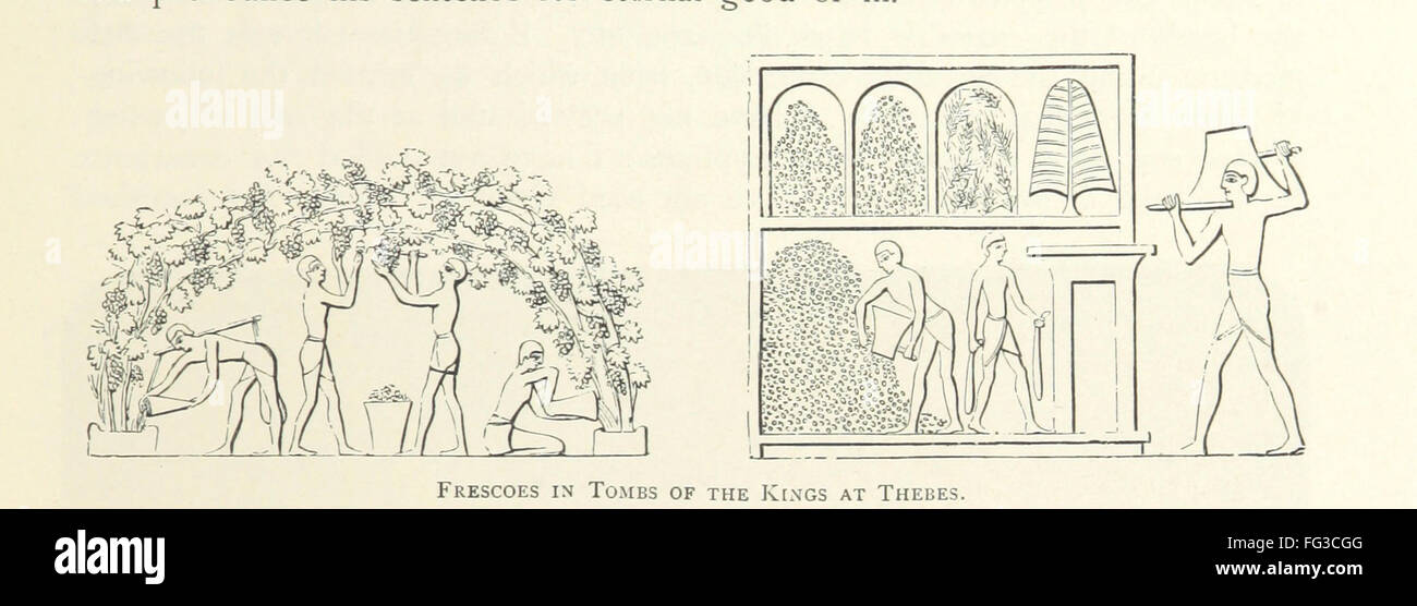 'The Land of the Pharaohs' offers a detailed history of ancient Egypt ...