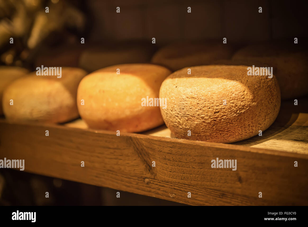 Pecorino sheep cheese Stock Photo - Alamy