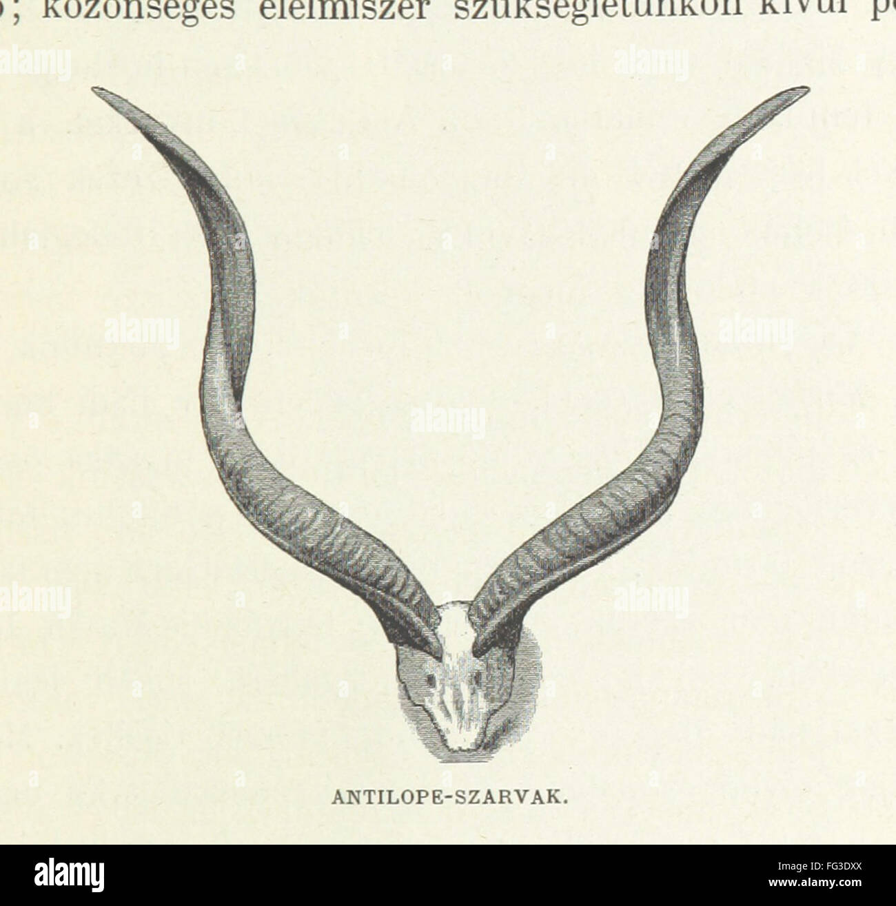 Teleki samuel hi-res stock photography and images - Alamy