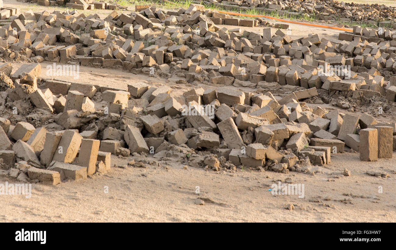 Asia India Tamil Nadu Sengal Soolai village. June 2014. All people of ...