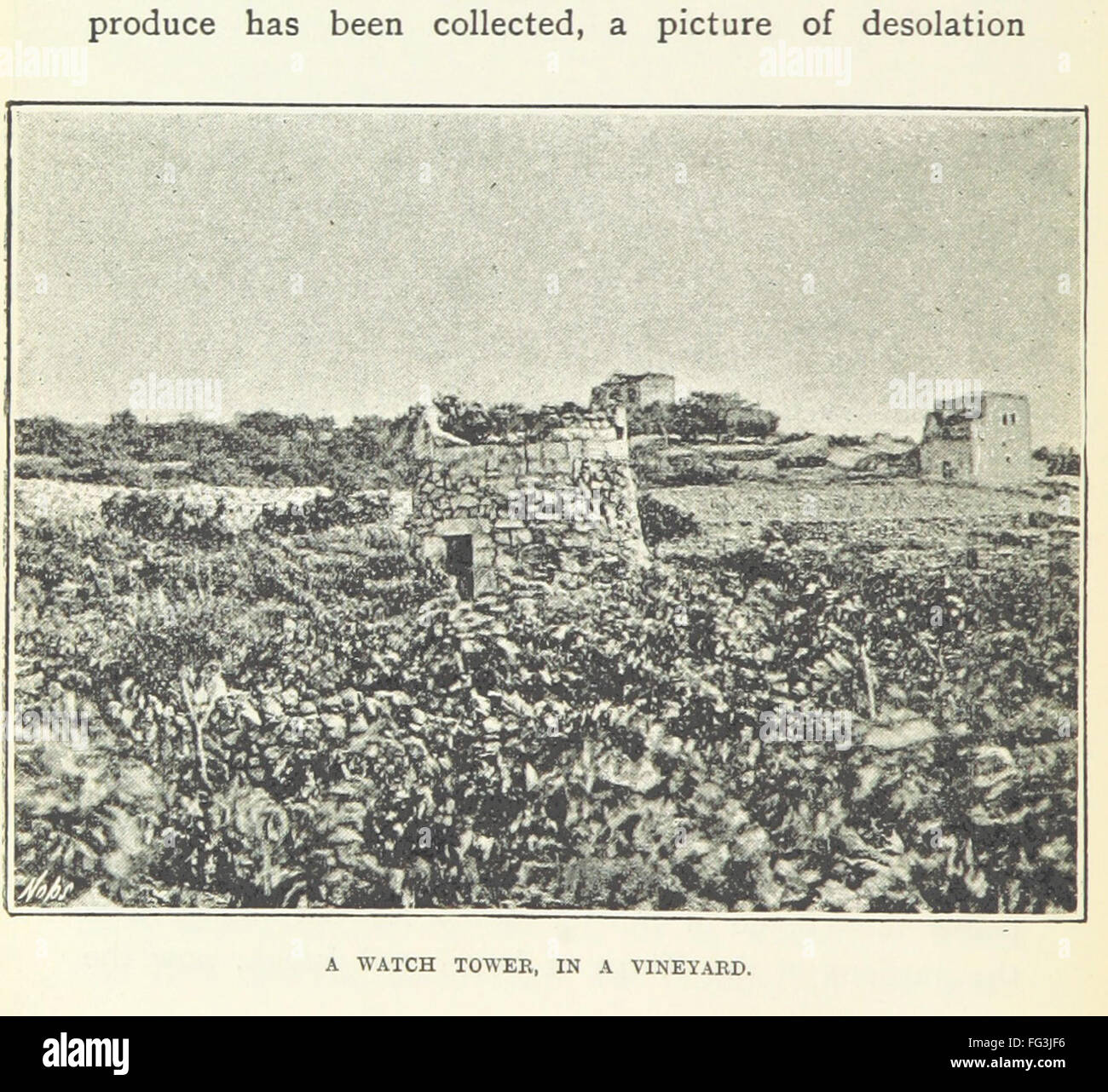 This book presents a portrayal of village life in Palestine, featuring ...