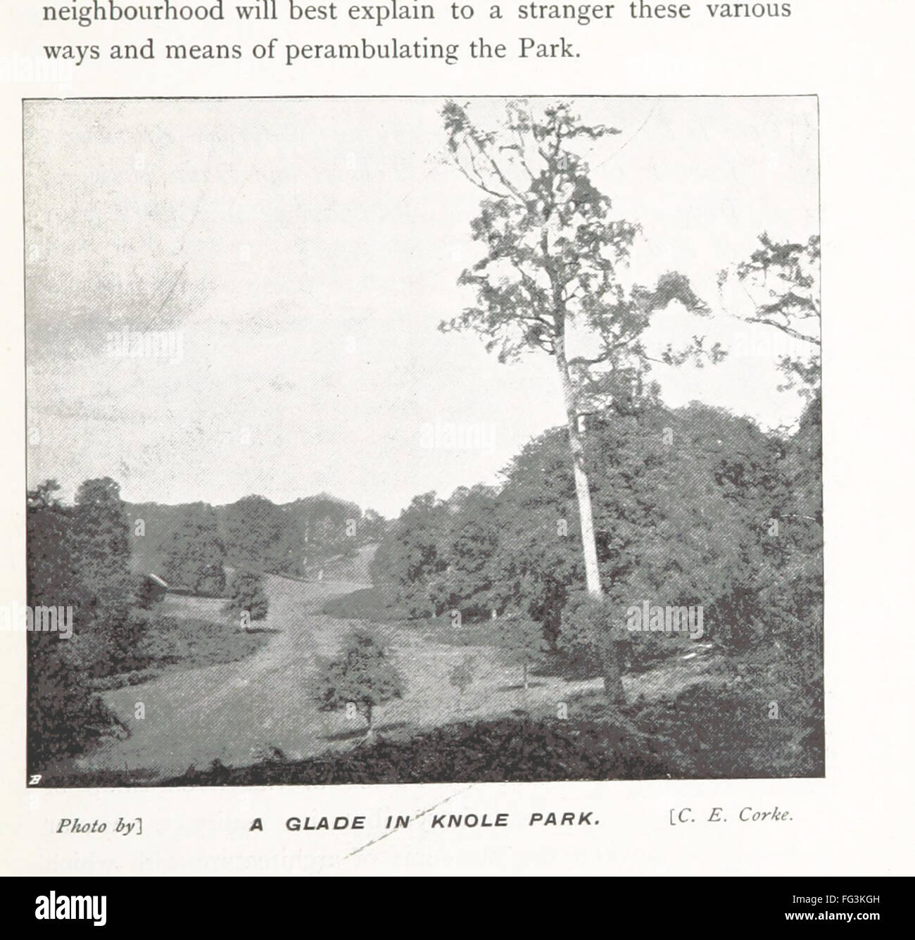 'Salmon's Guide to Sevenoaks' provides a detailed overview of Sevenoaks ...