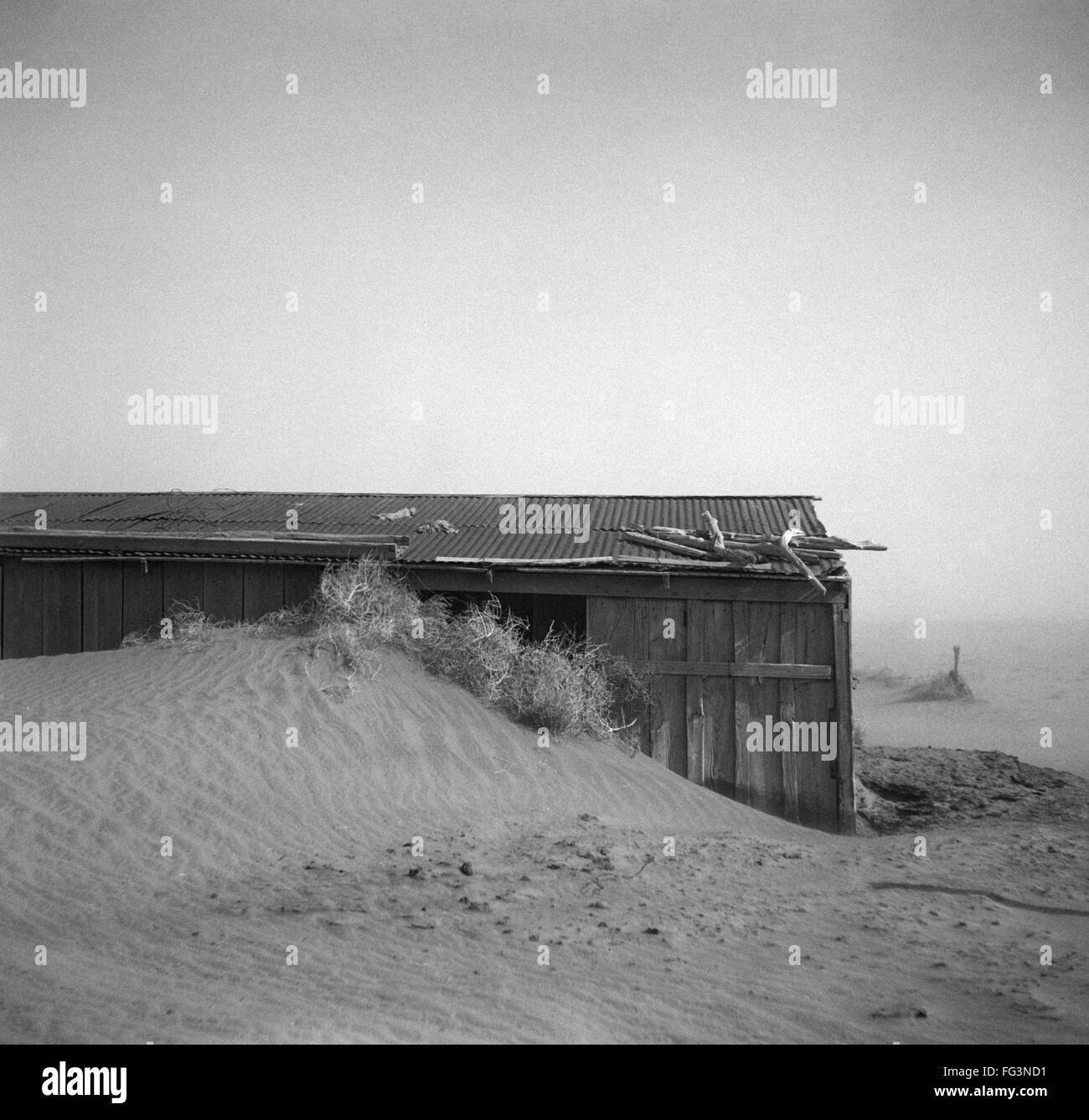 OKLAHOMA: FARMHOUSE, 1936. /nSand dunes on farm in Cimarron County ...