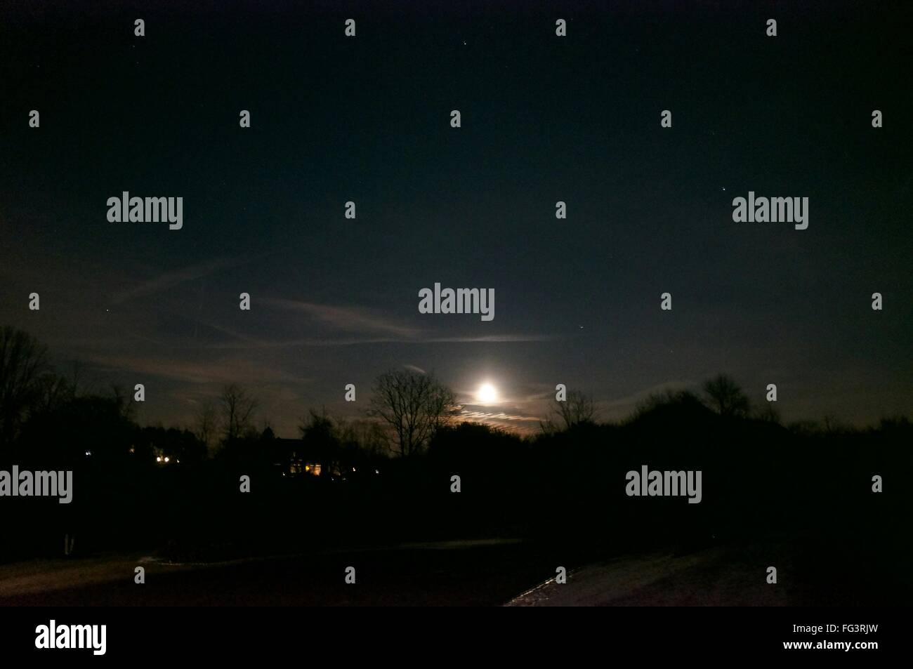 Moonlight Trees Stock Photos & Moonlight Trees Stock Images - Alamy