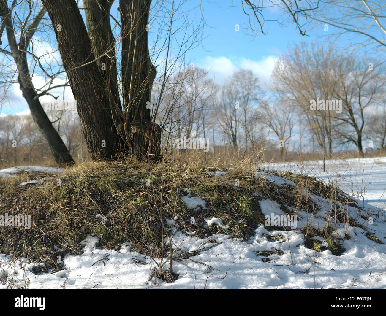 Typical weather for early spring, snow melting and blue sky, outdoor ...
