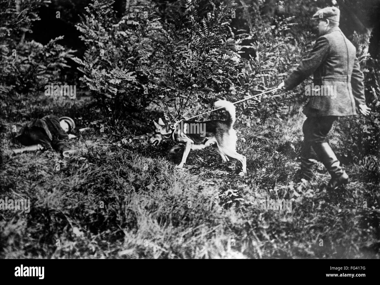 German war dog hi-res stock photography and images - Alamy