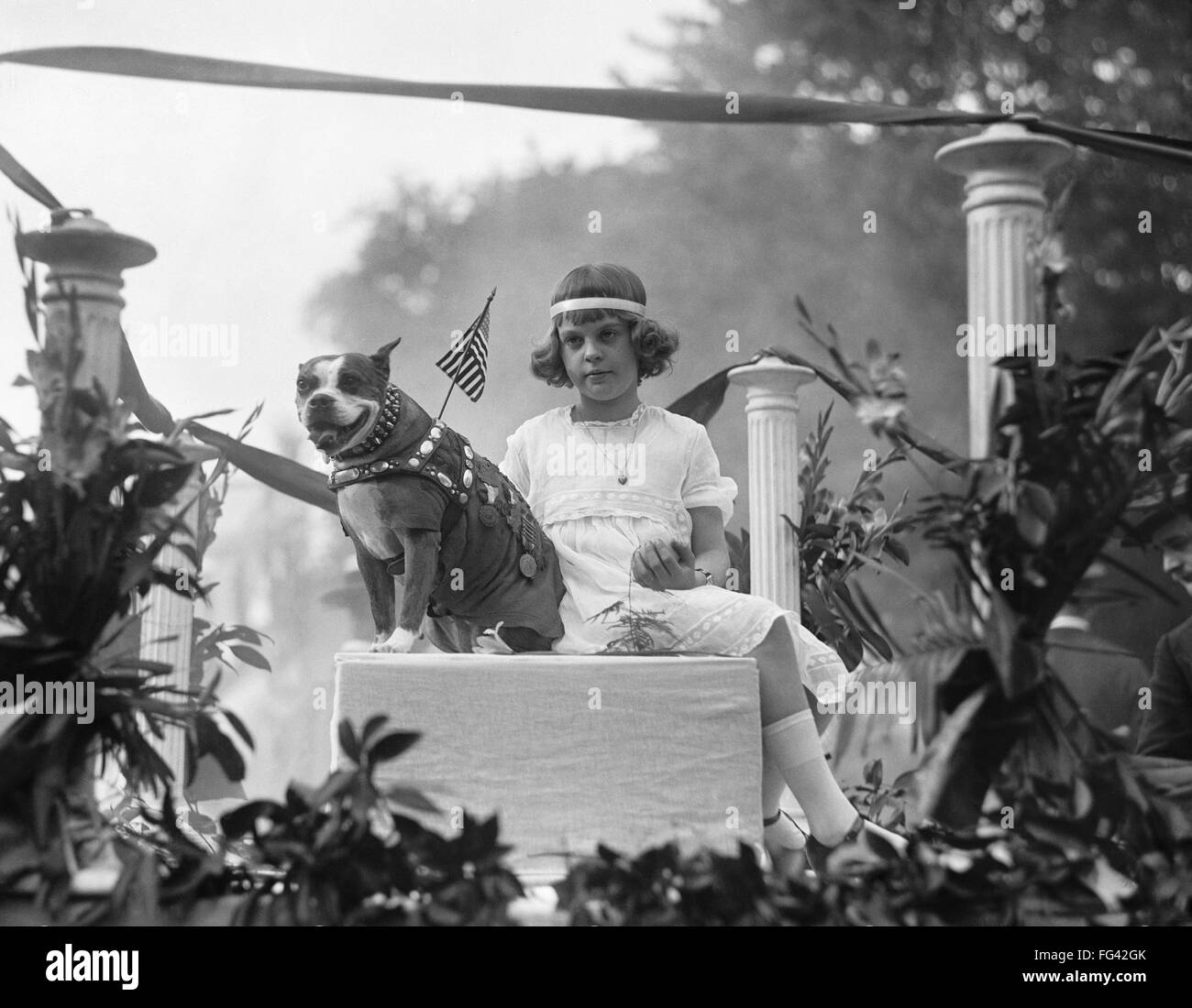 SERGEANT STUBBY, 1921. /nSergeant Stubby, the most decorated war dog of ...