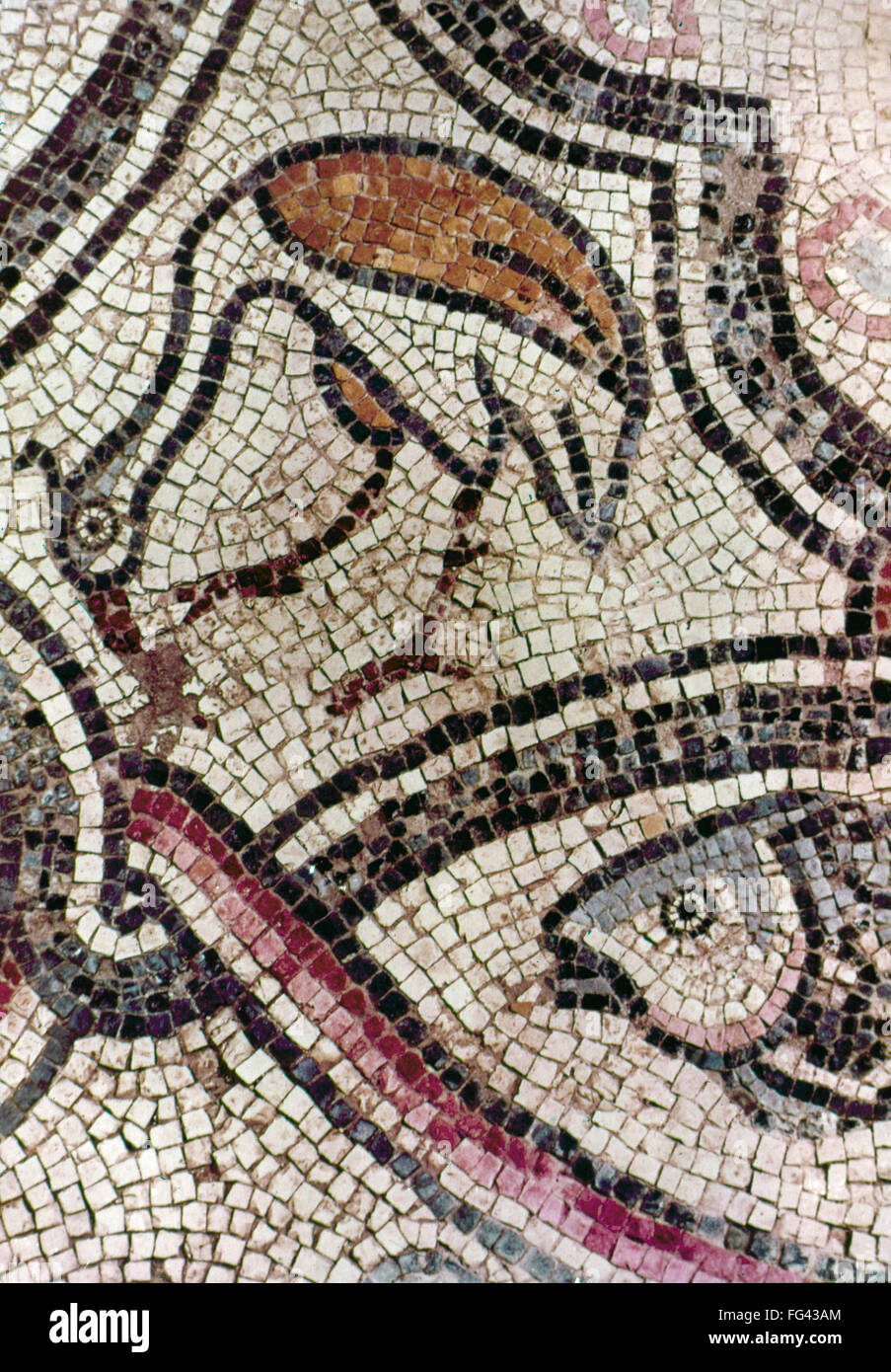 MOSAIC, 6TH CENTURY. /nMosaic of a crane, from the pavement of the bath ...
