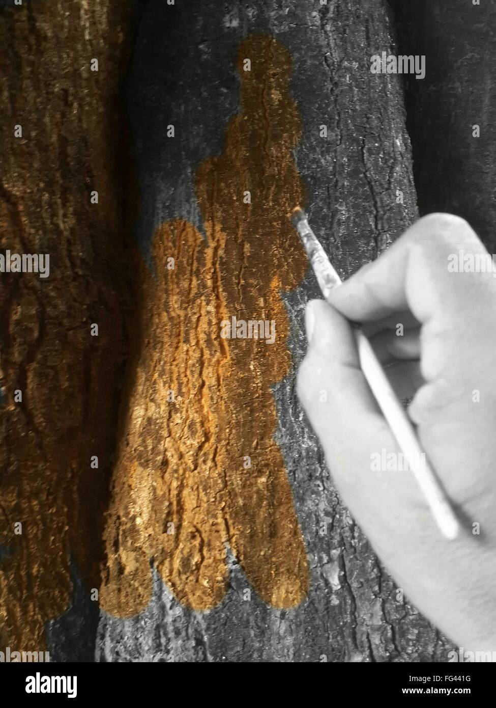 Body Art Tree High Resolution Stock Photography and Images - Alamy