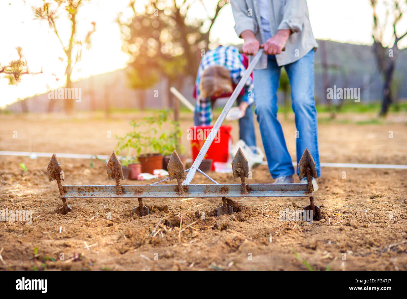 Senior woman and man plowing and planting seeds, garden Stock Photo - Alamy