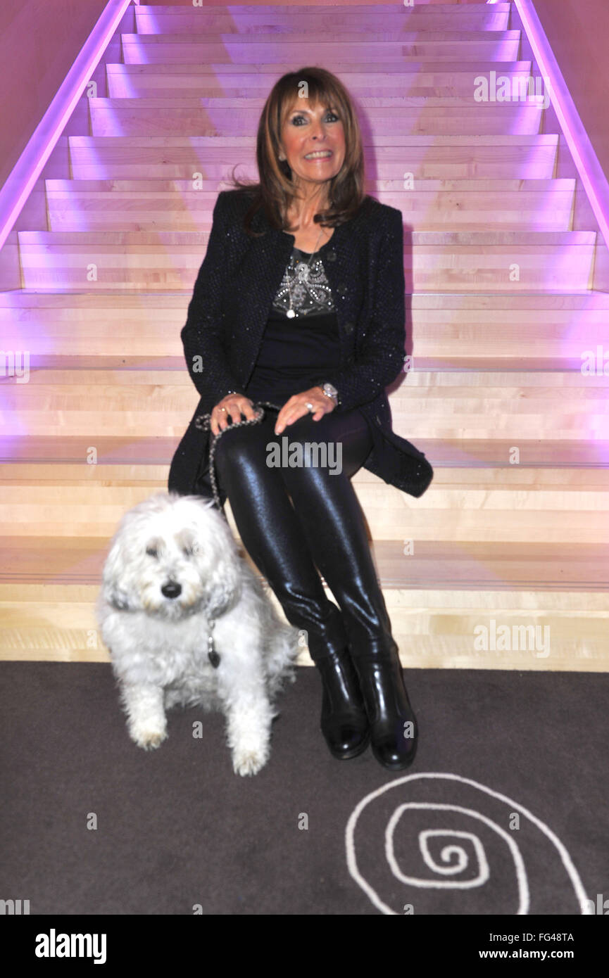 Ireen sheer hi-res stock photography and images - Alamy