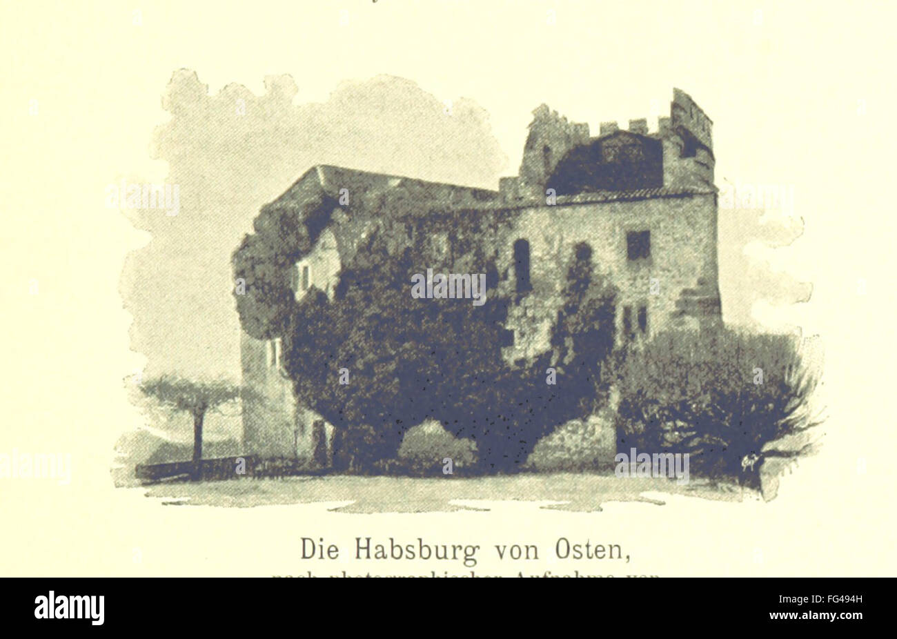 A study of the Habsburg dynasty, featuring 31 illustrations and 19 ...