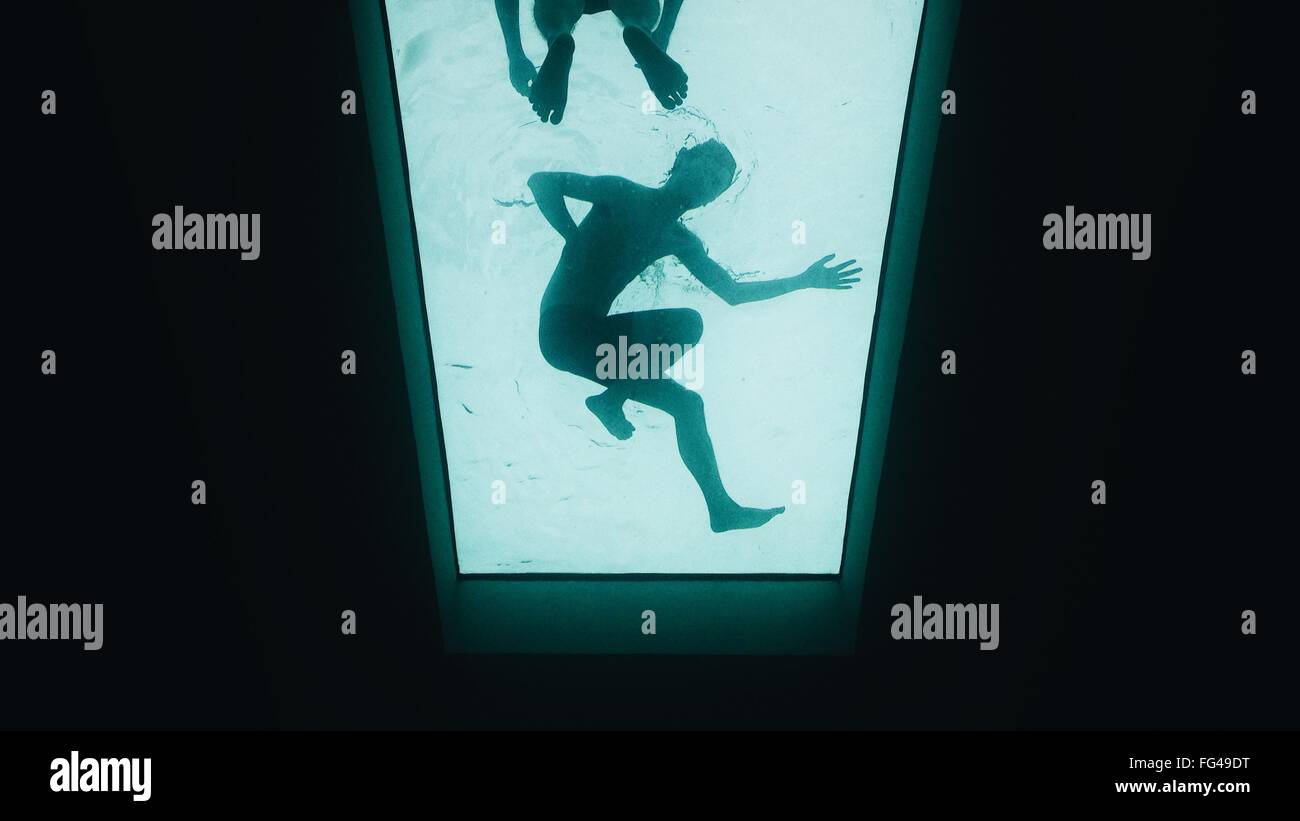 Seen though window hi-res stock photography and images - Alamy