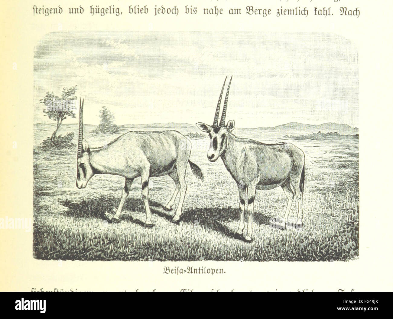 A record of the 1887-1888 expedition by Count S. Teleki to East ...