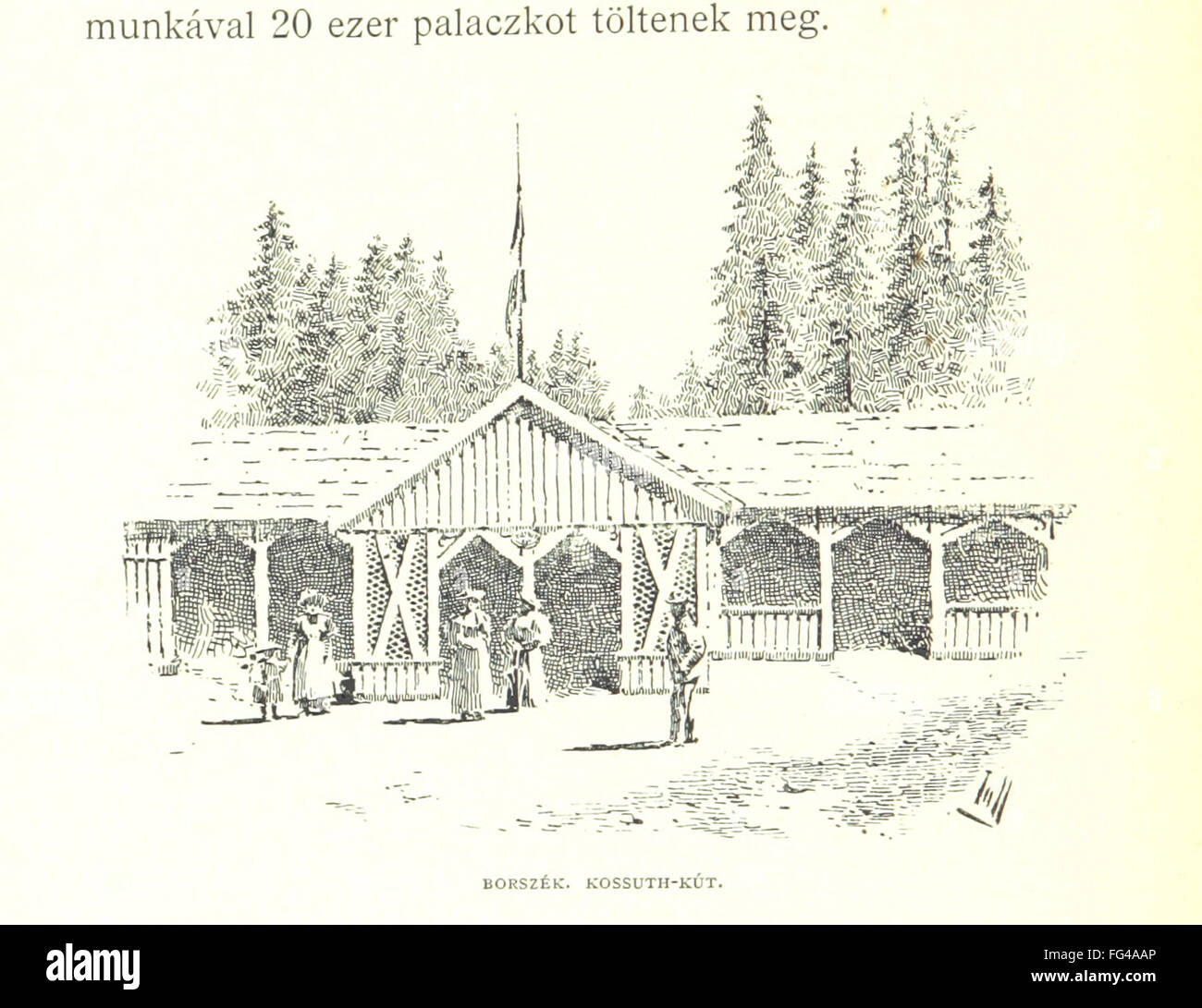 This vintage book provides a detailed look into the history and culture ...