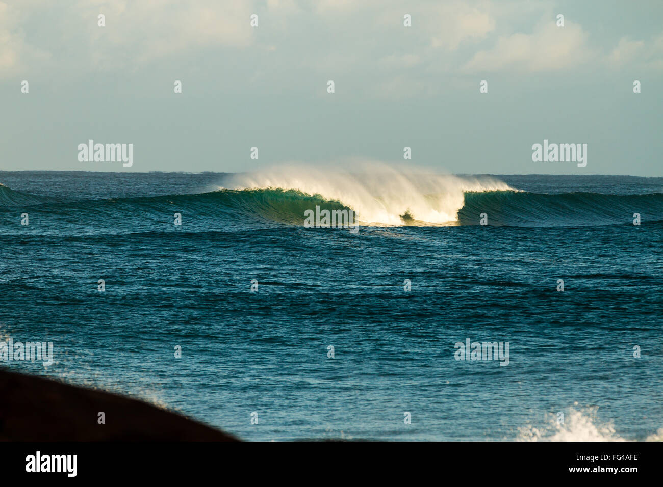 Perfect barrel hi-res stock photography and images - Alamy