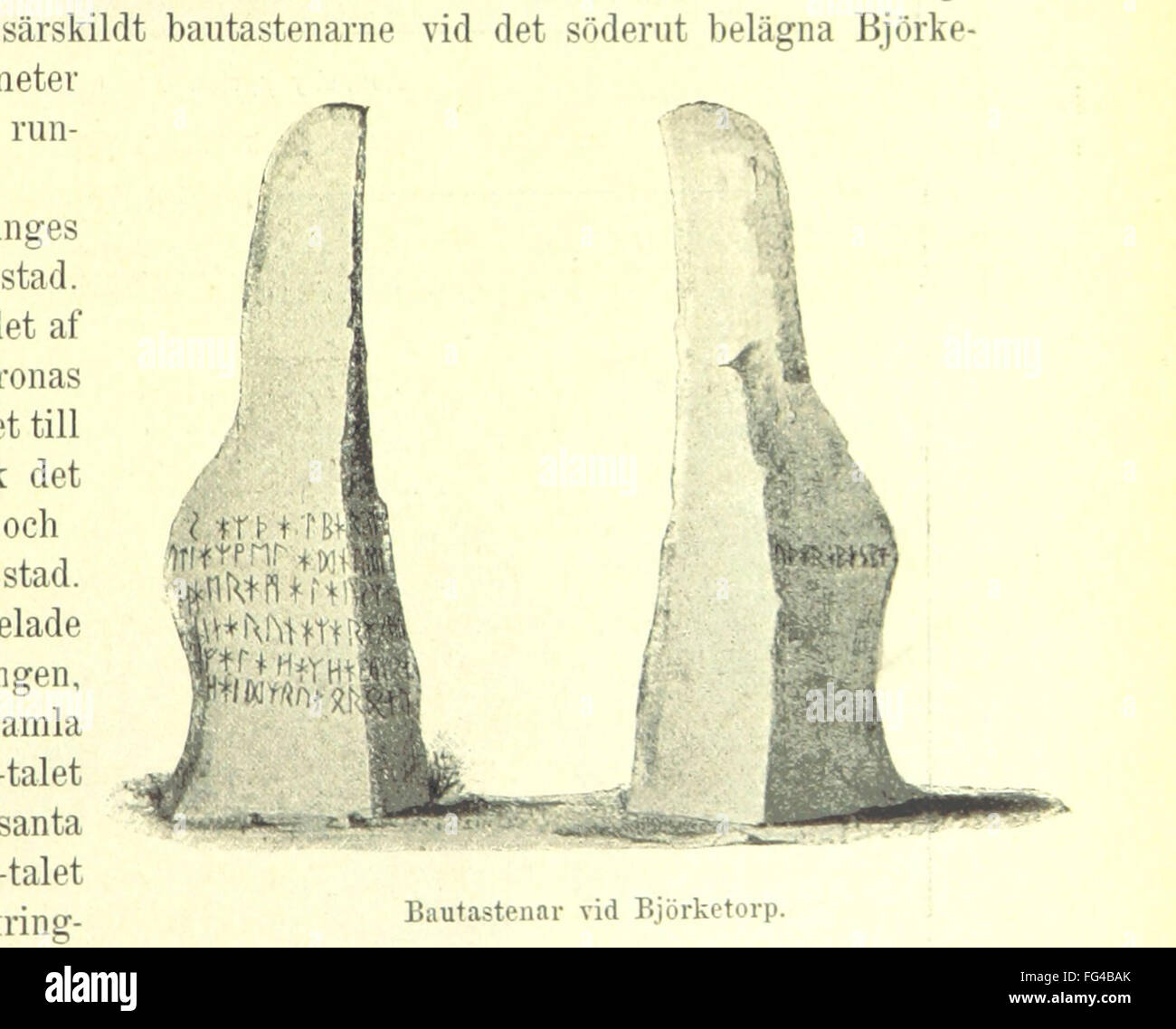 A vintage Swedish book providing detailed descriptions of Swedish ...