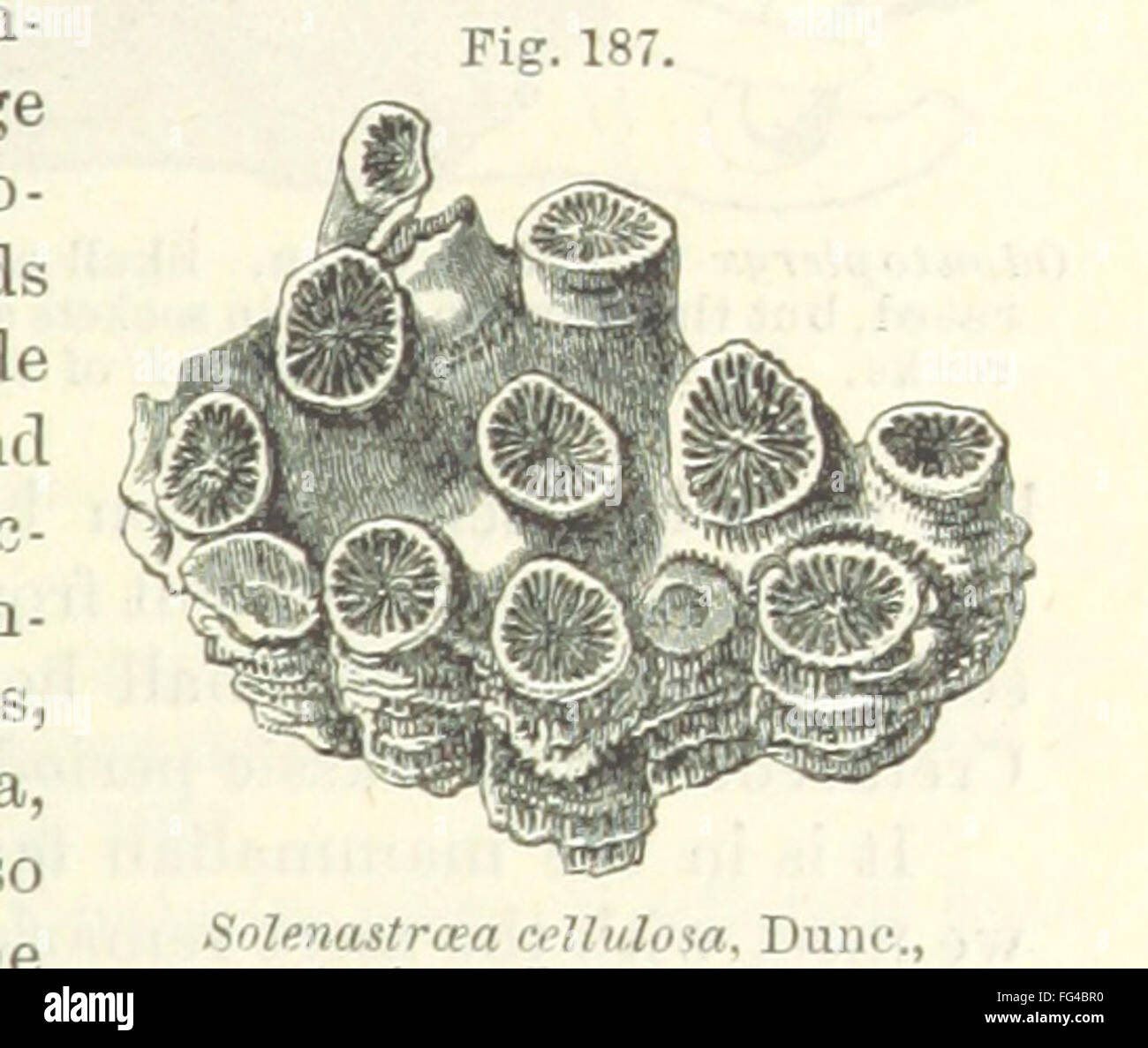 'The Student’s Lyell' is an educational manual on elementary geology ...