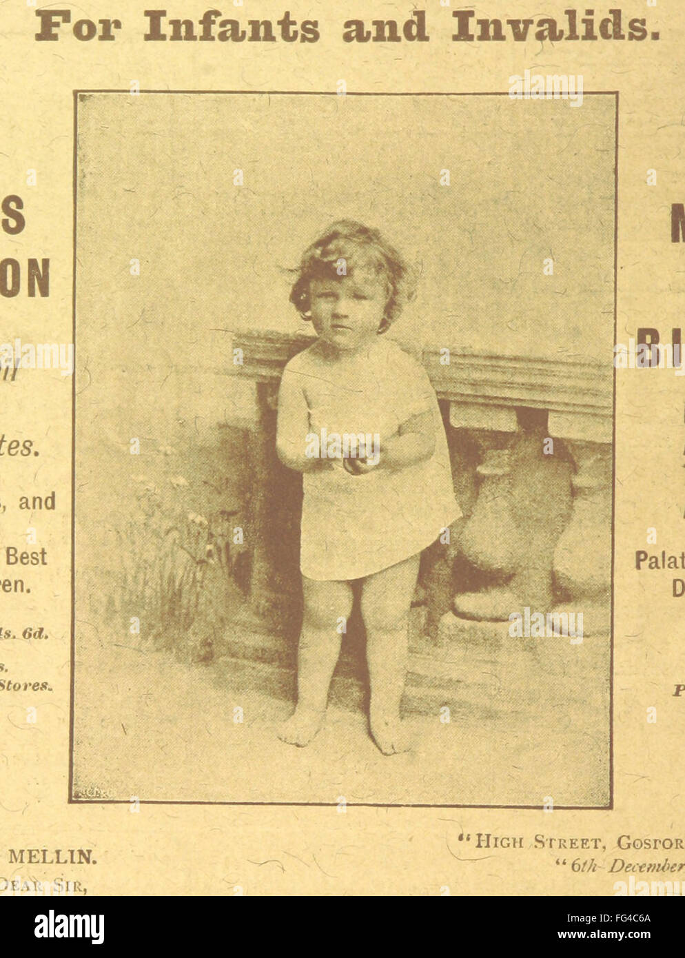 This descriptive, historical, and pictorial work offers a comprehensive ...