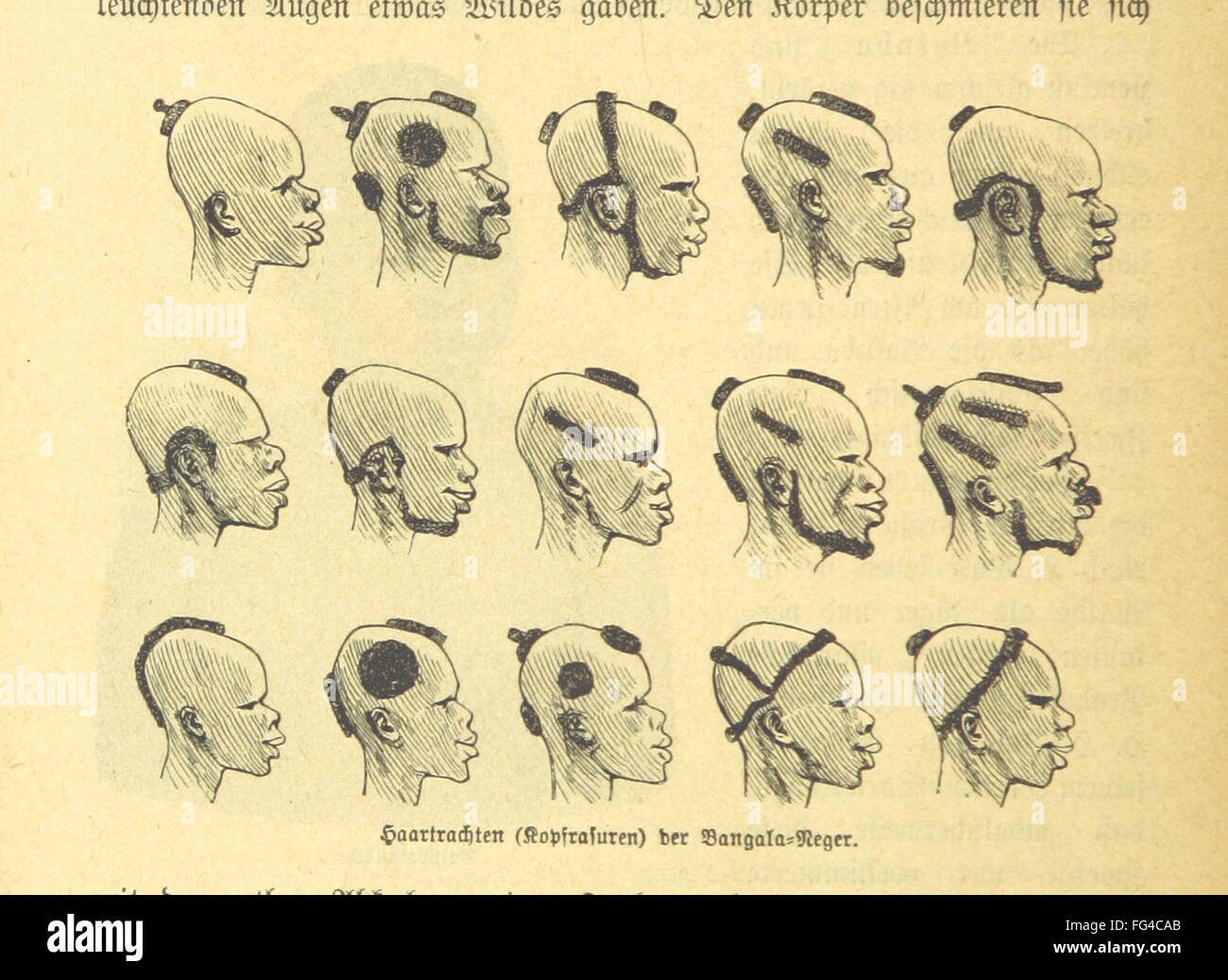 'Der Mensch und seine Rassen' explores human races and their ...