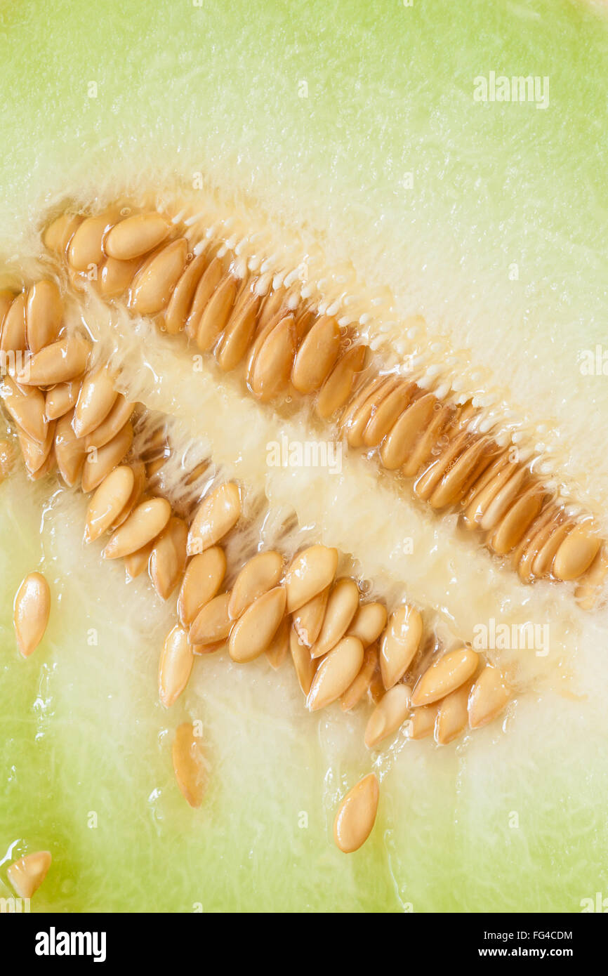 Closeup of melon with pips as food background. Fruit, diet and healthy ...