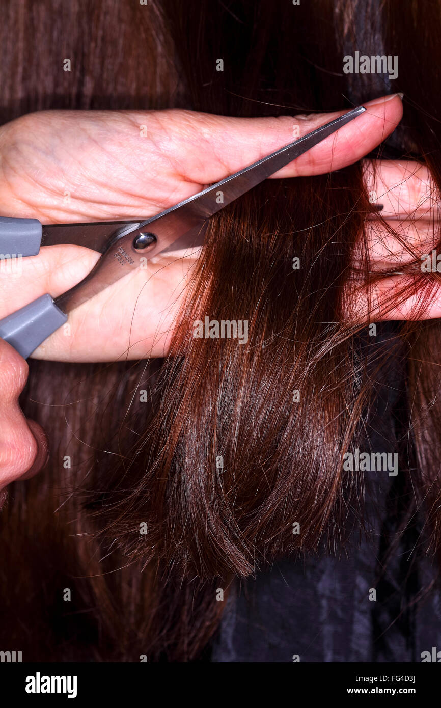 Young women,girl lady having their haircut in a hairdressers saloon ...