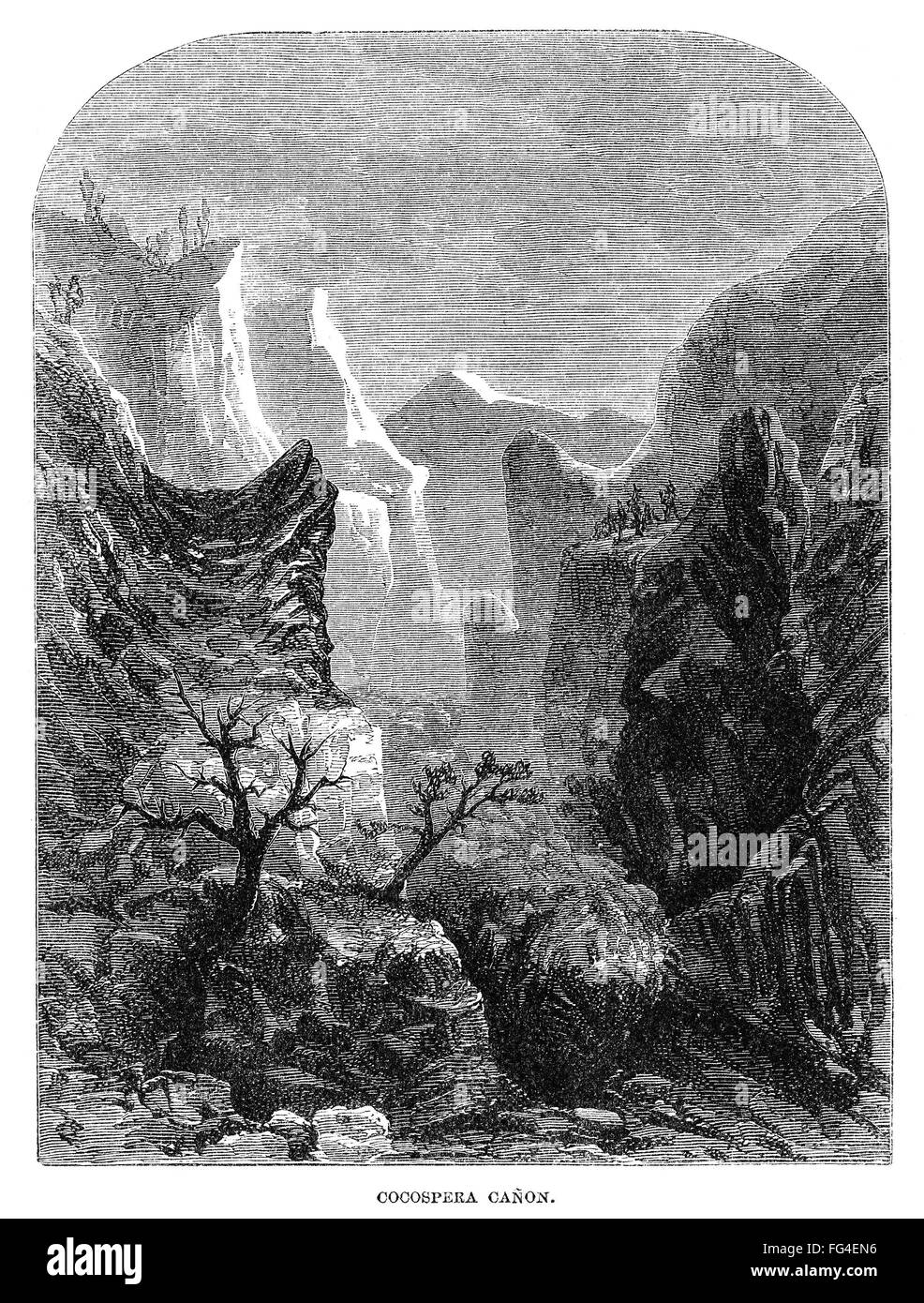 MEXICO: COCOSPERA CANYON. /nCocospera Canyon in Sonora, Mexico. Wood ...