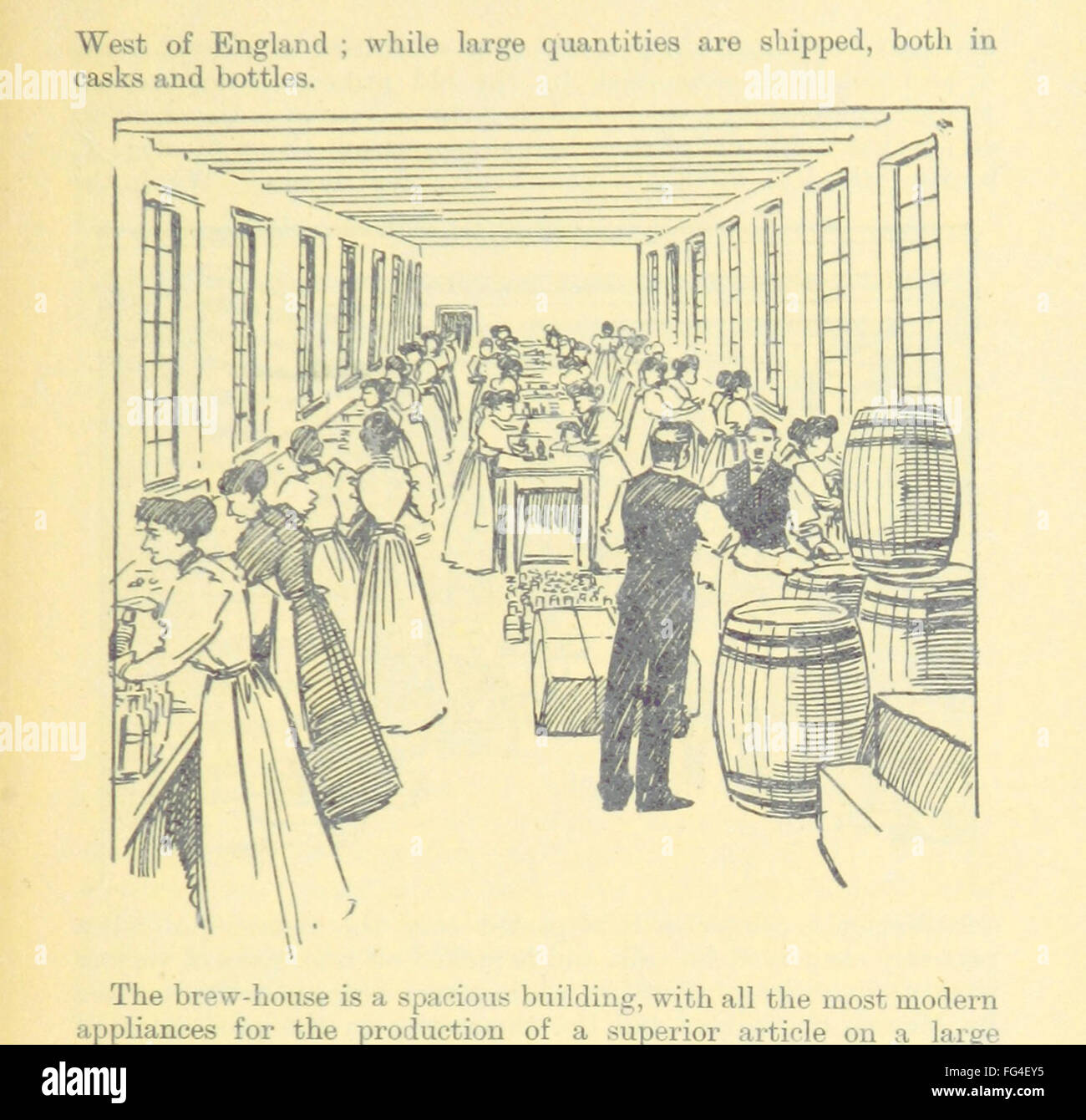 This illustrated handbook on Cardiff provides a detailed overview of ...