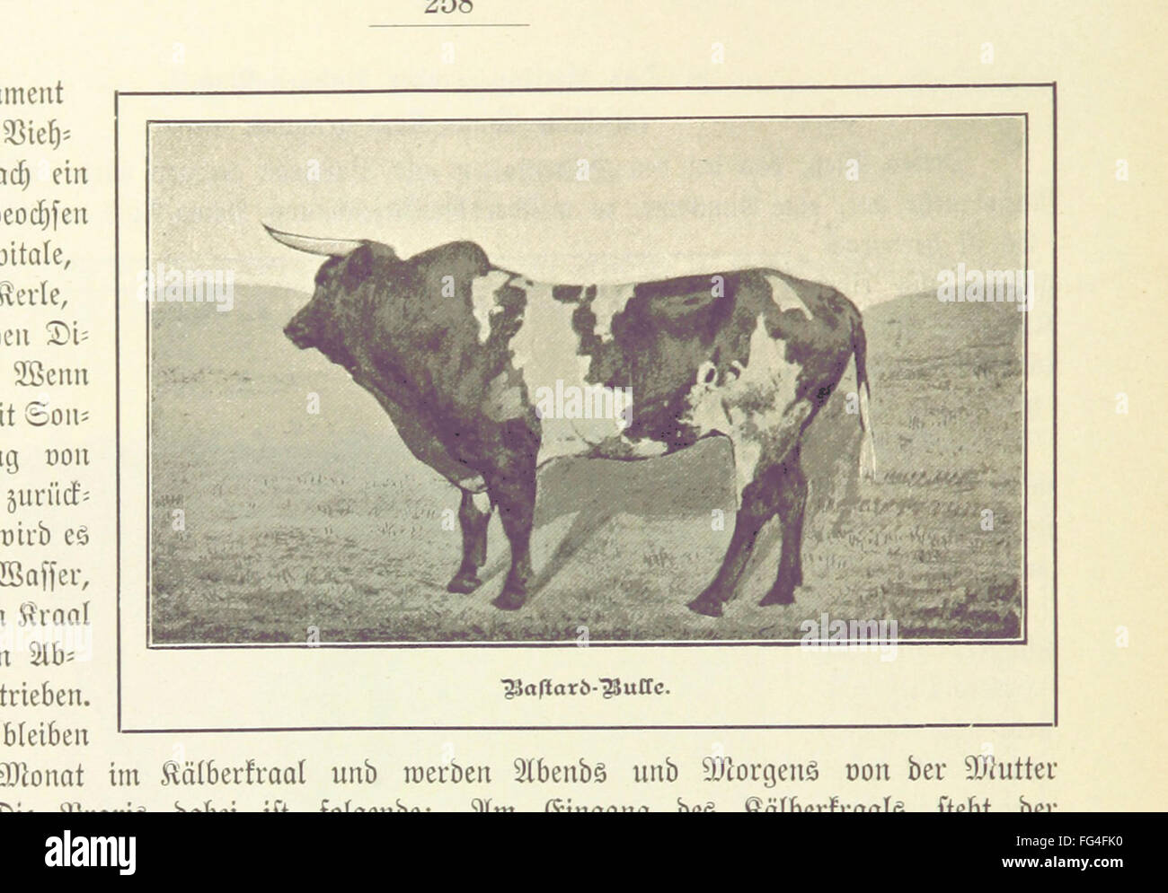 'Nama und Damara' discusses the Nama and Damara peoples in German South ...