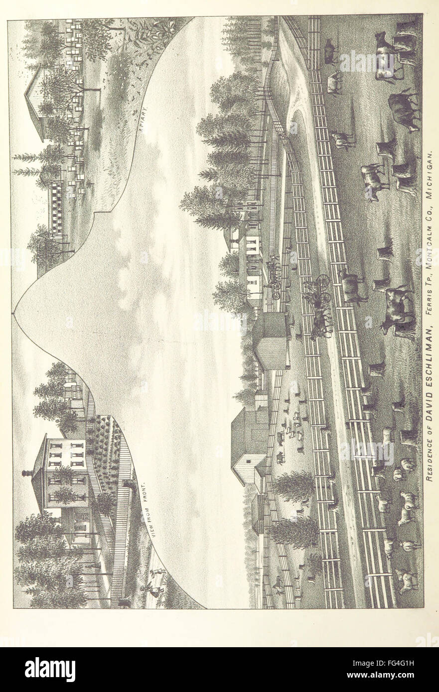 *History of Ionia and Montcalm Counties* covers the development of two ...