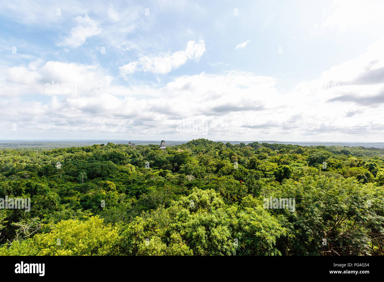 Tikal, guatemala hi-res stock photography and images - Alamy