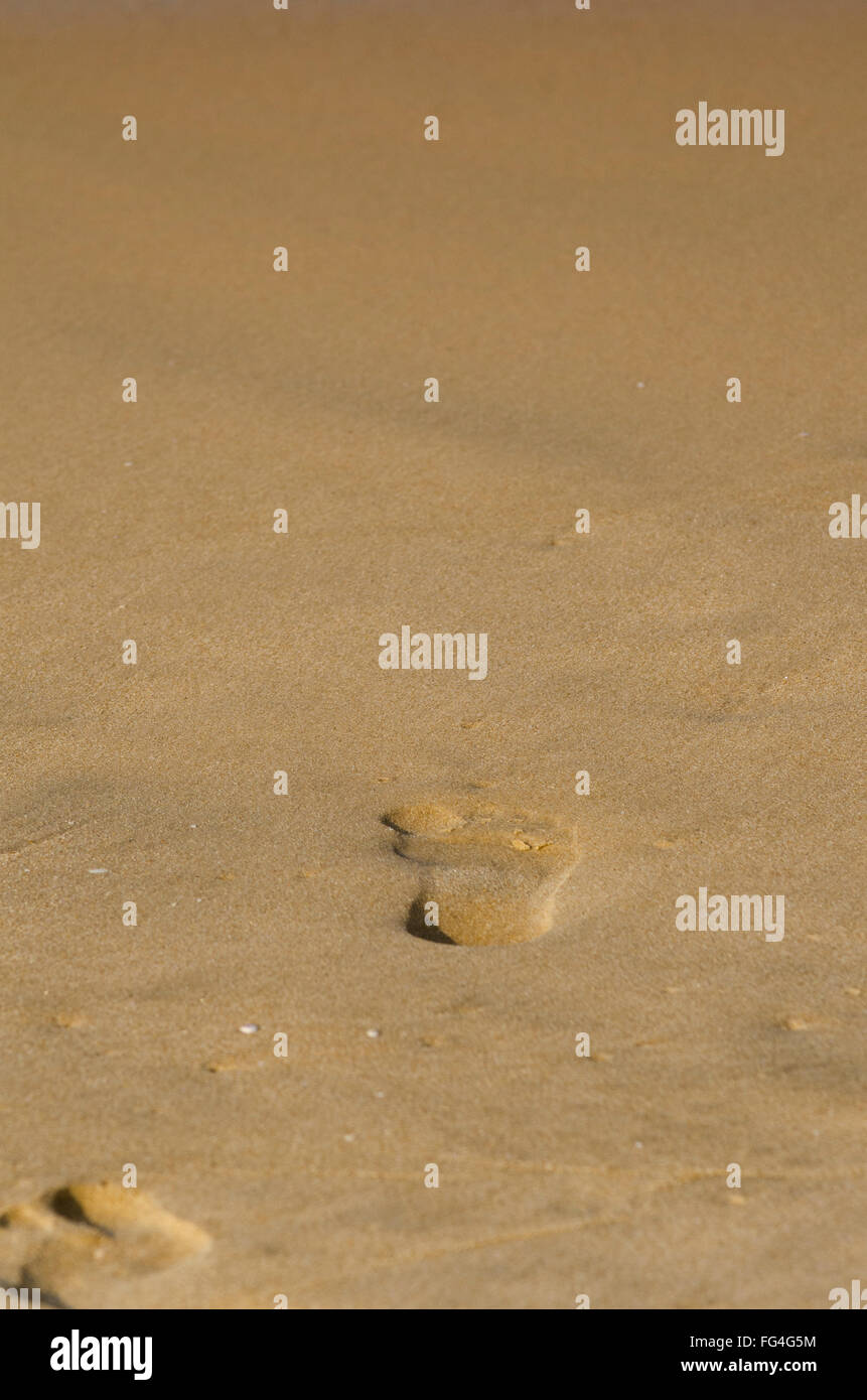 Disappearing footprint hi-res stock photography and images - Alamy