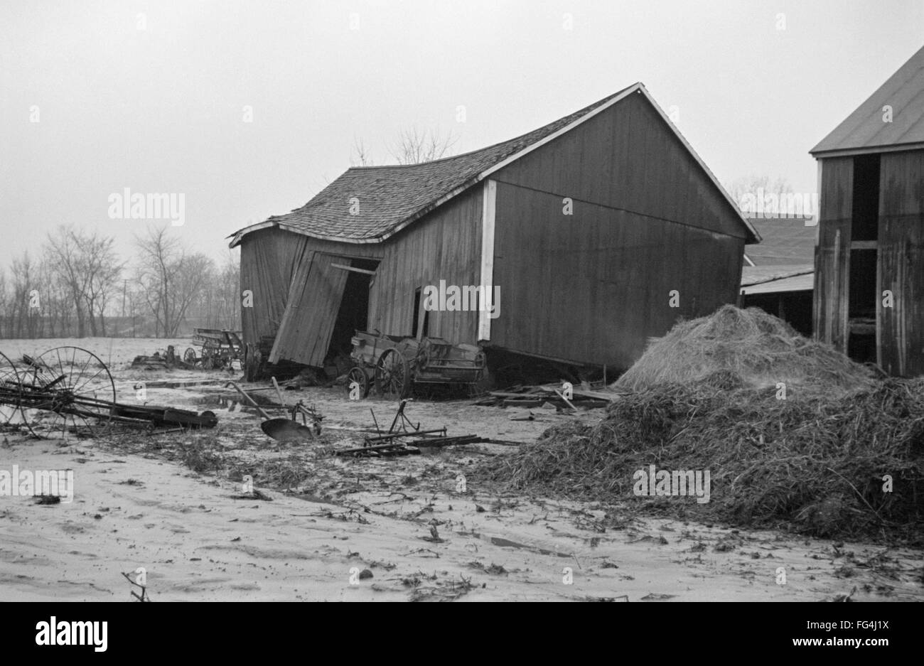MASSACHUSETTS: FLOOD, 1936. /nA ruined barn in Hatfield, Massachusetts ...