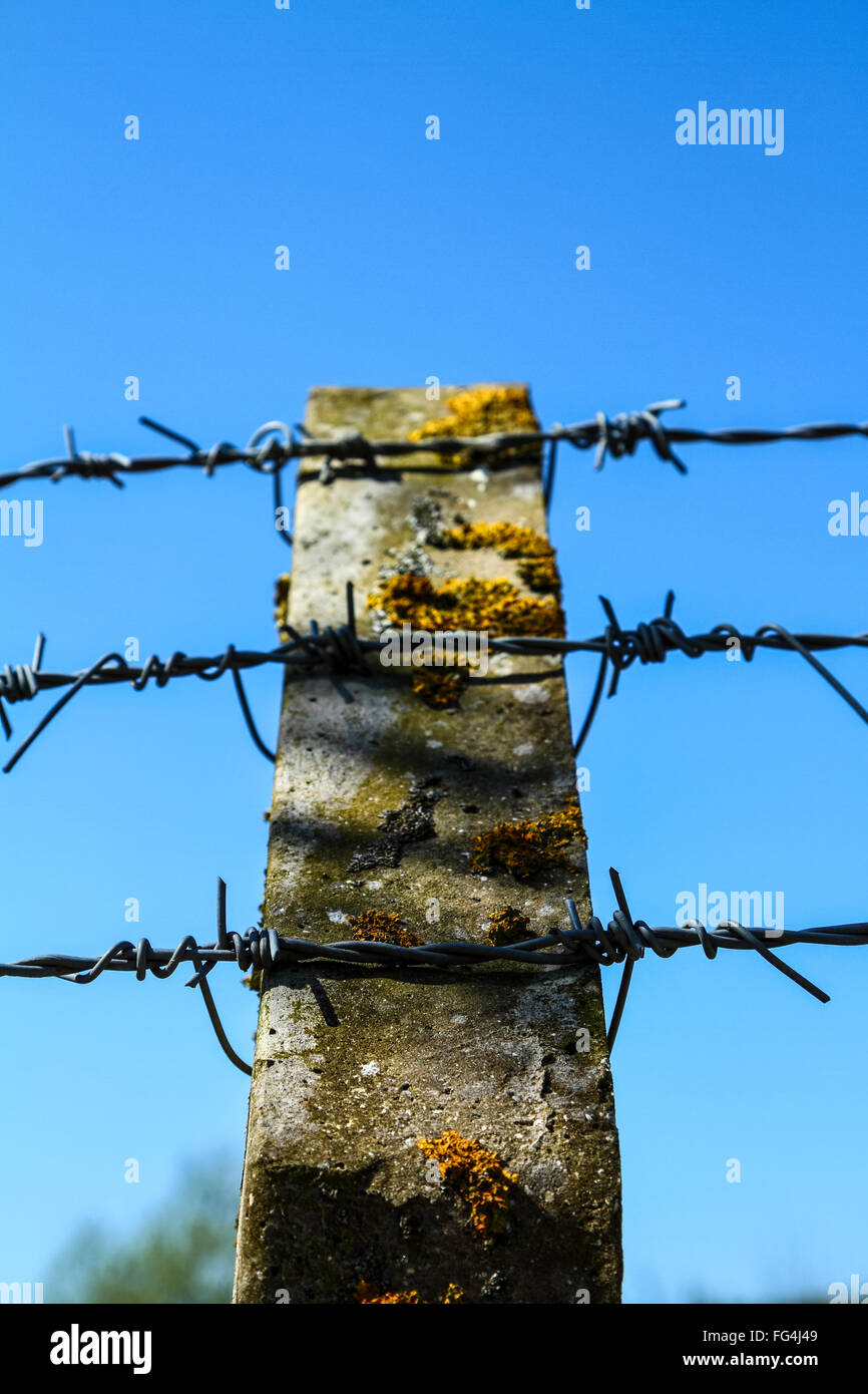 Concrete fence post barbed wire hi-res stock photography and images - Alamy
