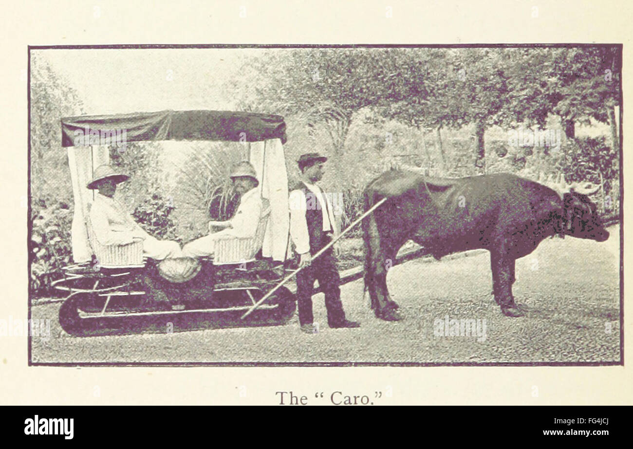 This illustrated guide explores the island of Madeira, focusing on its ...