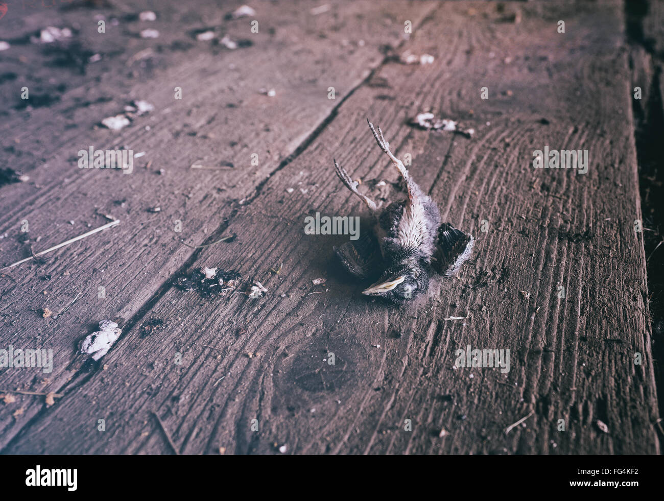 Dead color hi-res stock photography and images - Alamy