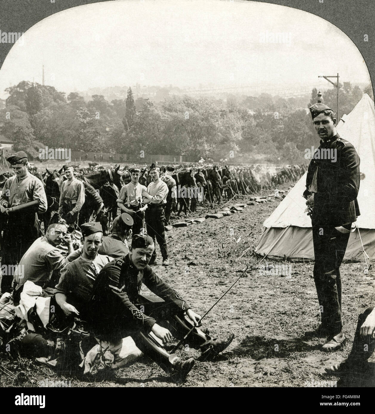 WORLD WAR I: CAVALRY. /nBritish cavalry camp where horses are being fed ...