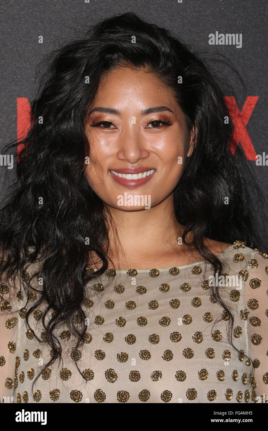 The Weinstein Company and Netflix 2016 Golden Globes After Party at the ...