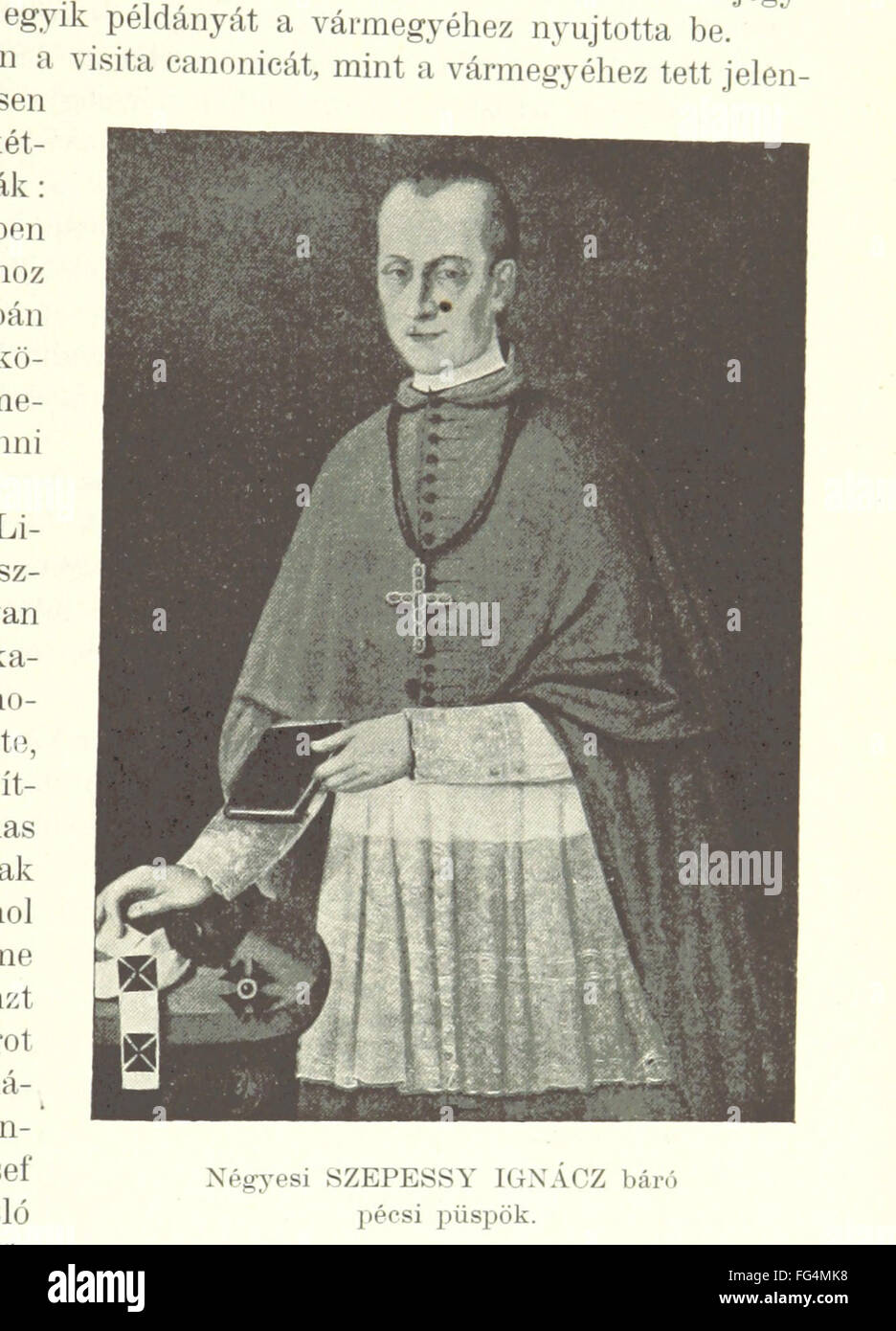 This Hungarian book, 'The Past and Present of Baranya', provides a ...