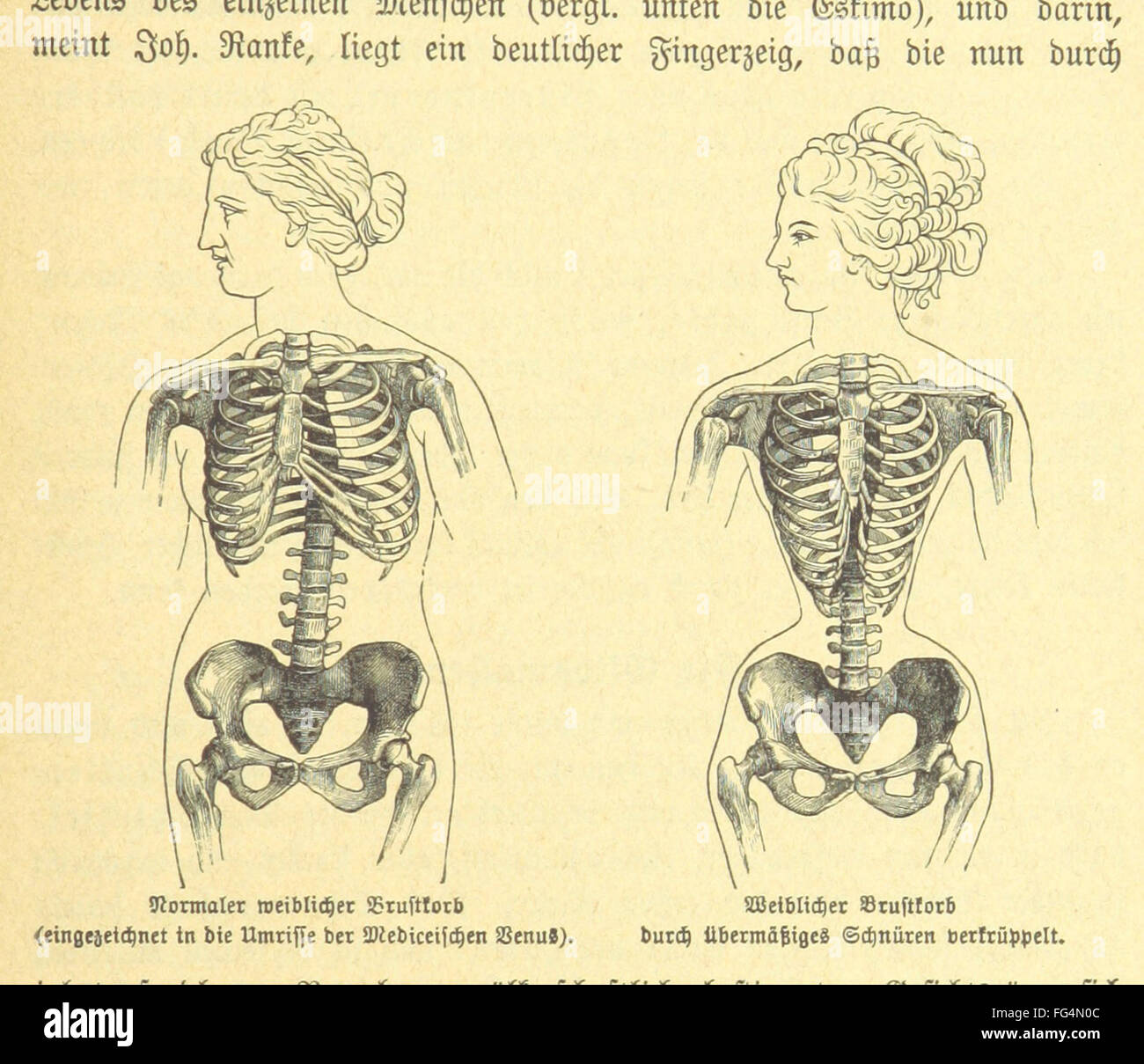 This vintage book, in German, explores human races and their cultural ...