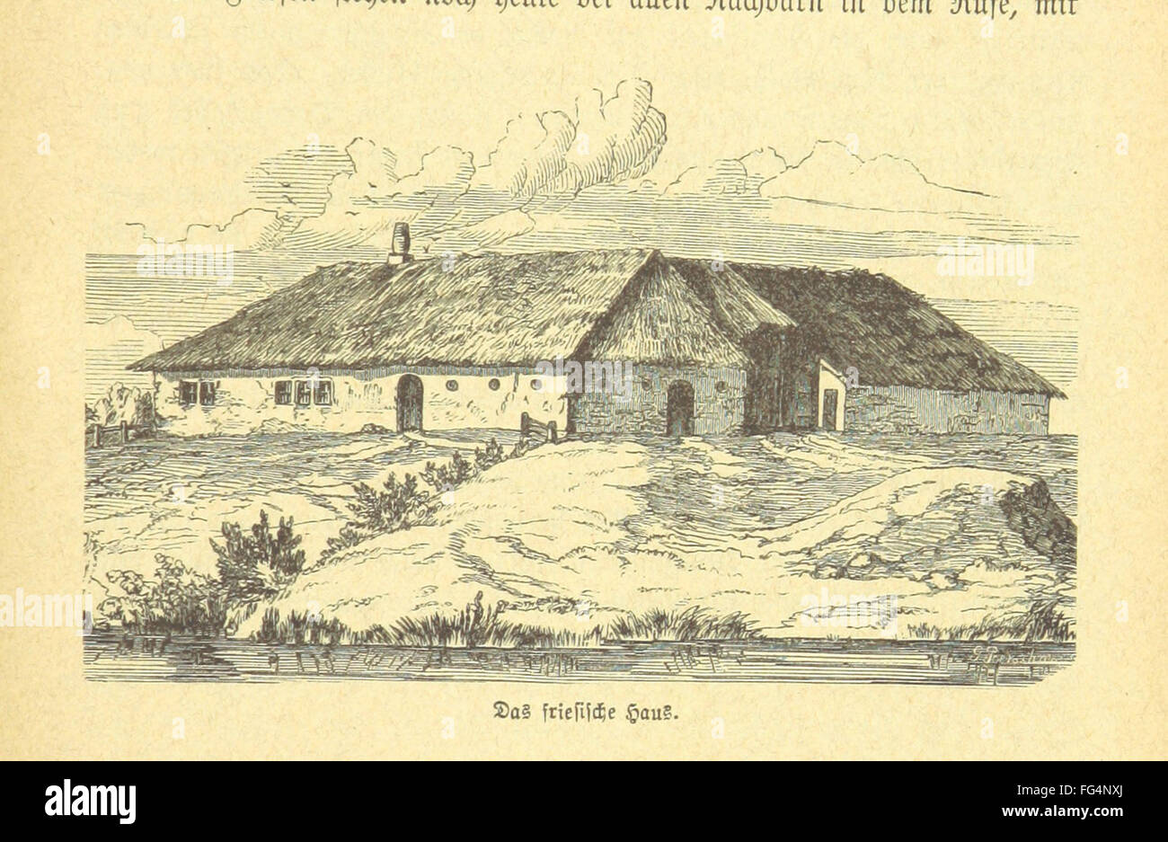 A German-language work discussing human beings and their races, with ...